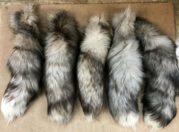 Real XL Tanned Marble Grey Fox Tail 15-17 Canada grade - Etsy