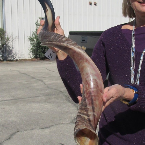 Shofar - Etsy