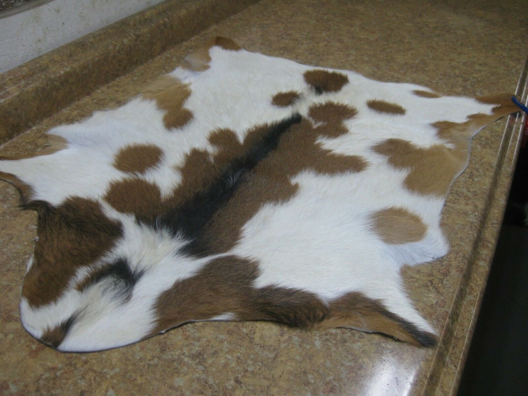 Real Goat Hide Pelt Skin Soft Tanned 28 X 19 - Etsy