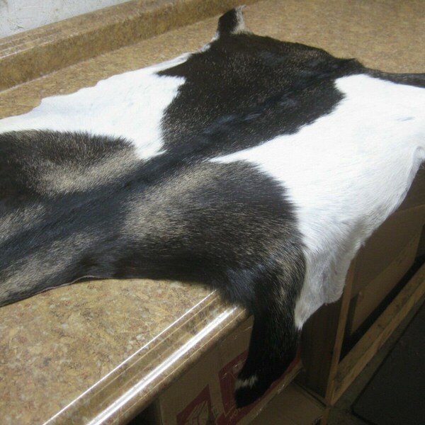 Goat Hide - Etsy