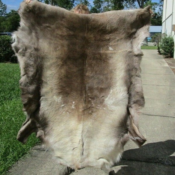 Moose Hide - Etsy