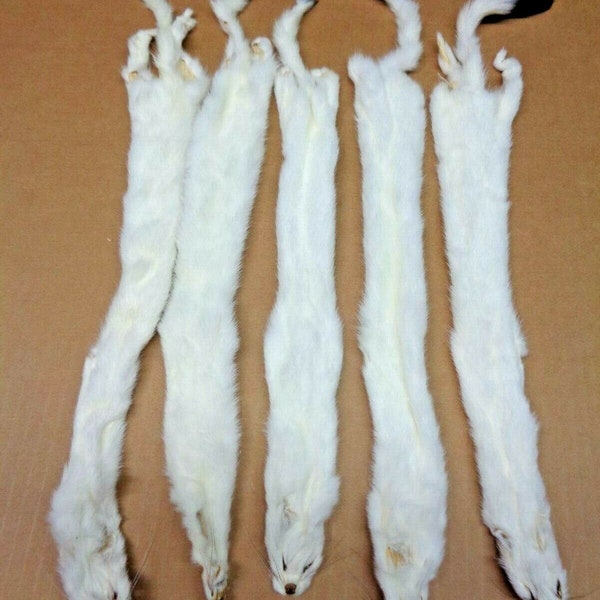 Ermine Fur - Etsy