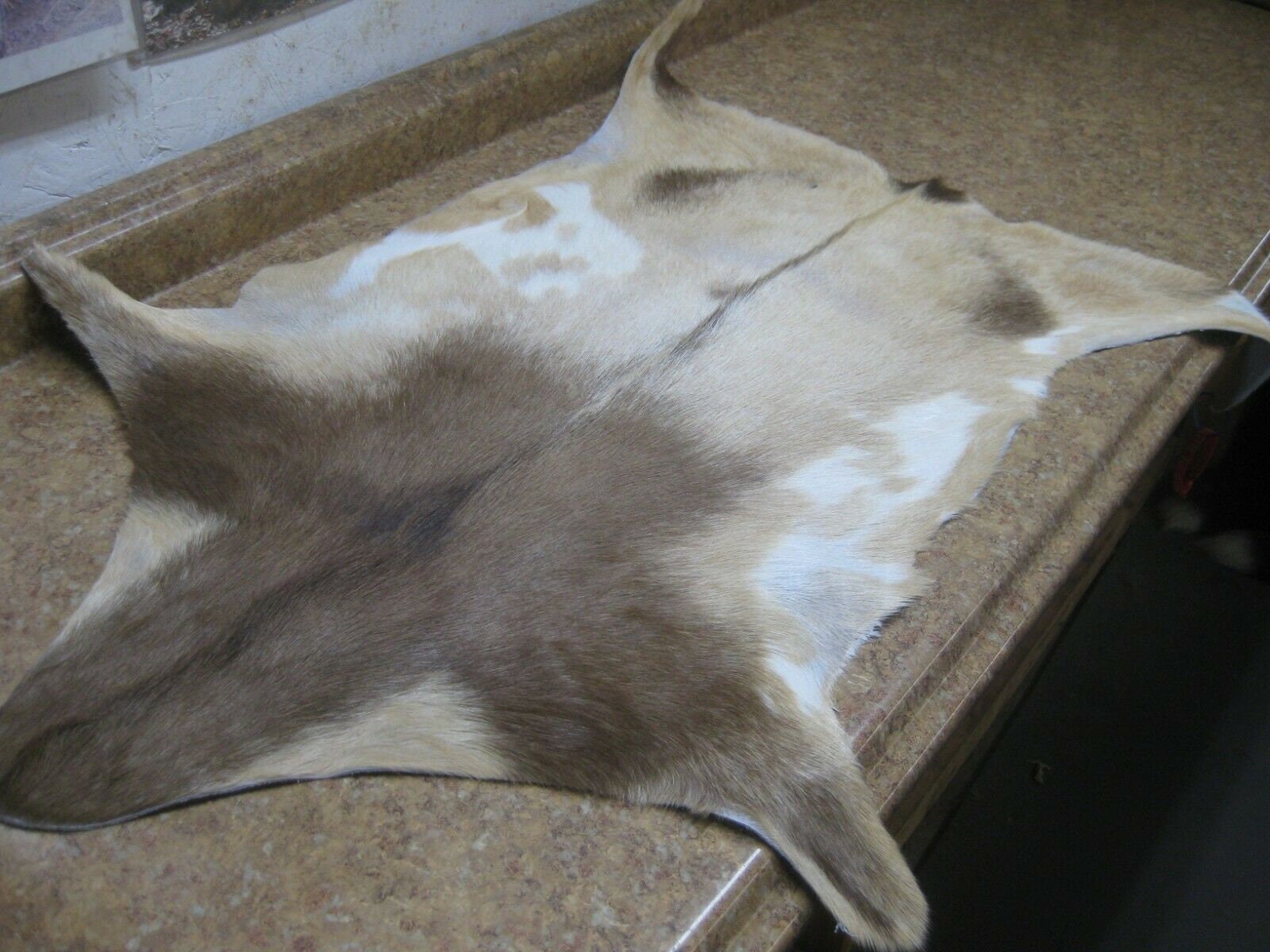Home & Living Home Décor 37 x 25 Hair On Real Goat Hide Pelt Skin Soft ...