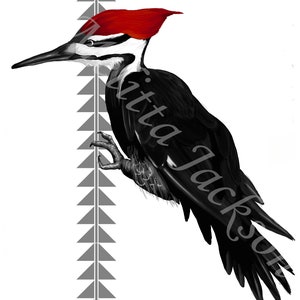 Woodpecker Pileated With Sturgeon Back Design 11x14 - Etsy