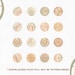 Boho Instagram Highlight Covers: Pastel Rainbow Plant Icons (digital ...