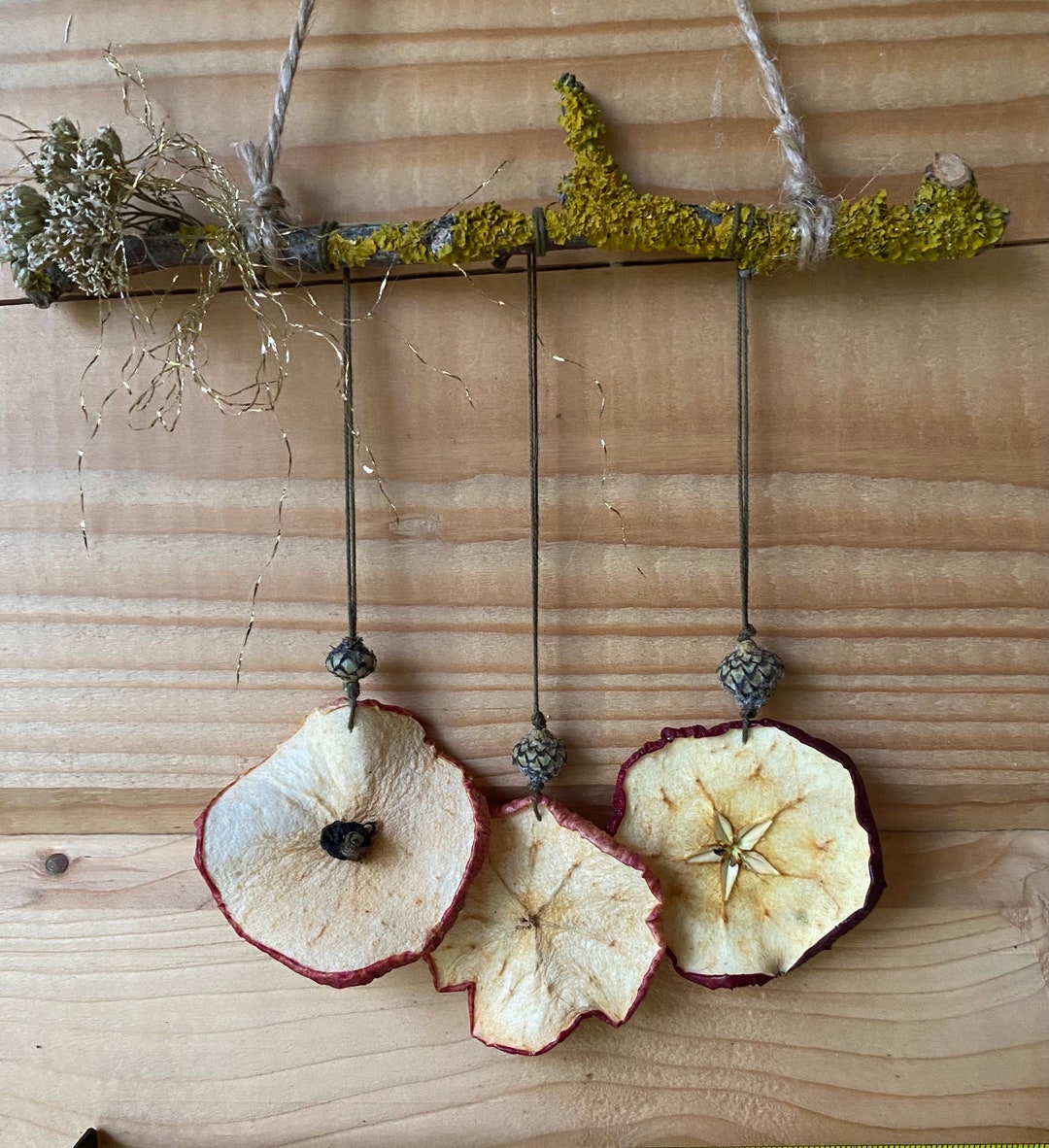 Natural Rustic Dried Fruit Ornament, Home Decoration, Eco Friendly and ...