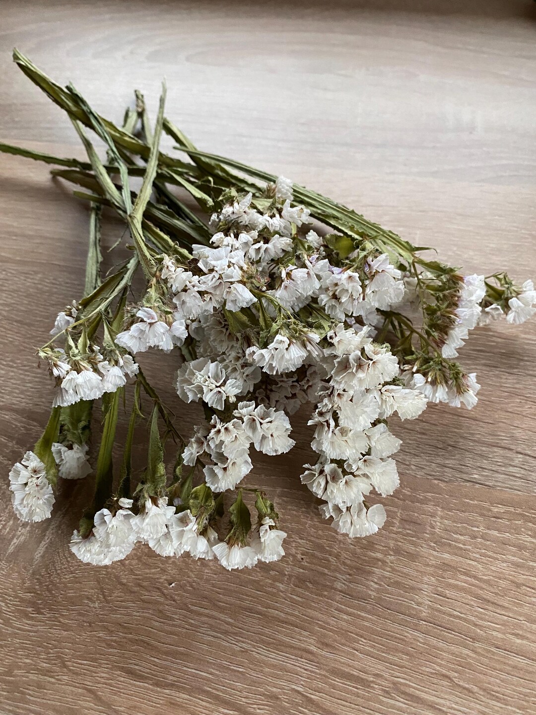 Dried Statice Bunch White - Etsy