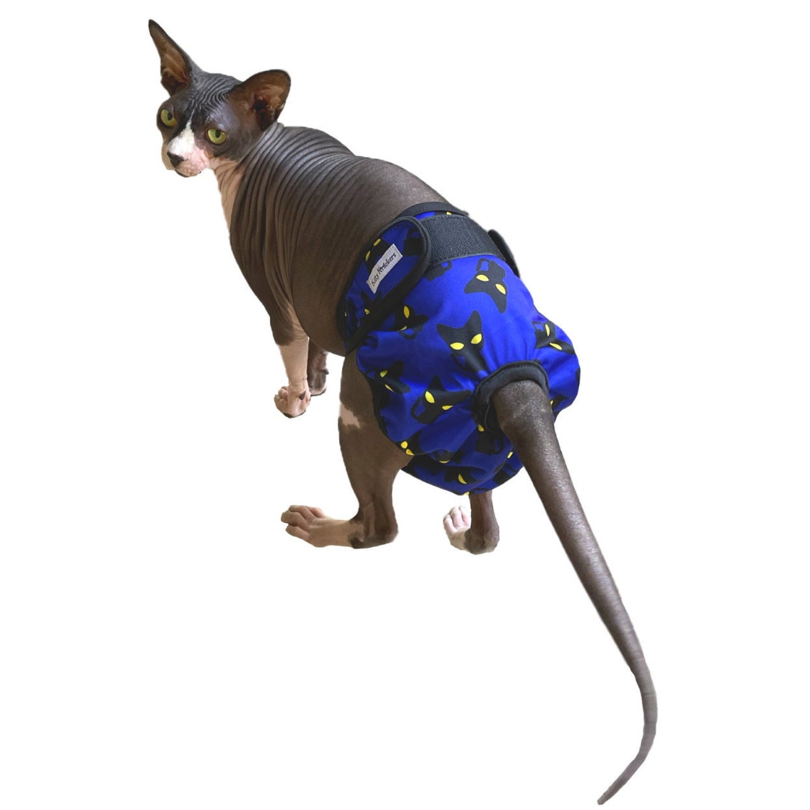 Midnight Kitty Knickers Washable Cat Stud Pants Diaper Nappy - Etsy