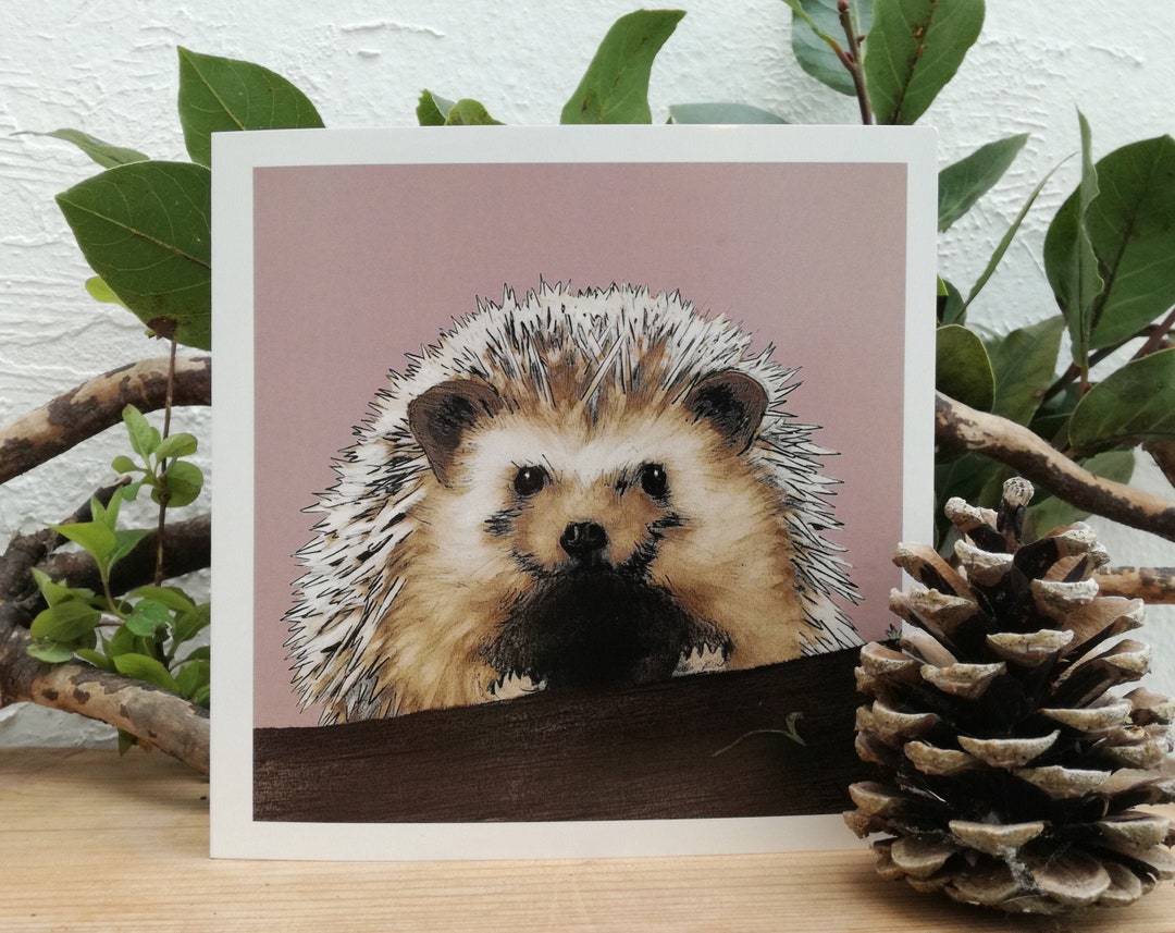 Hedgehog Greeting Card - Etsy