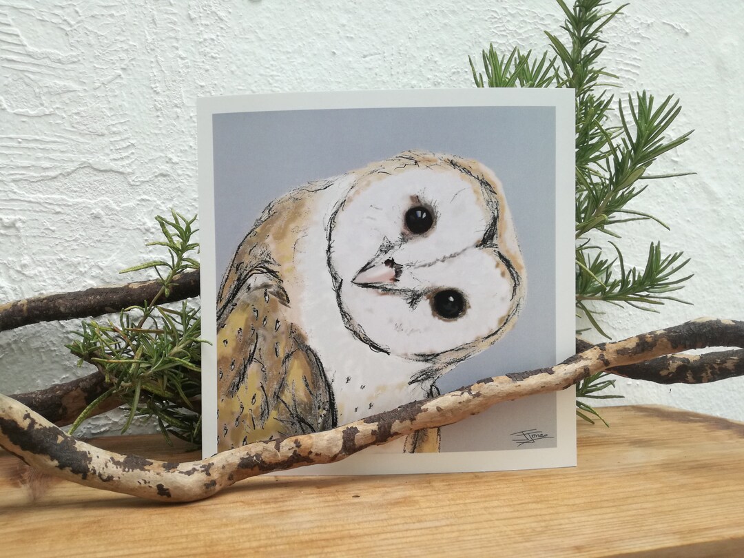 Barn Owl Greeting Card | This Barn Owl Greeting Card is Perfect for ...