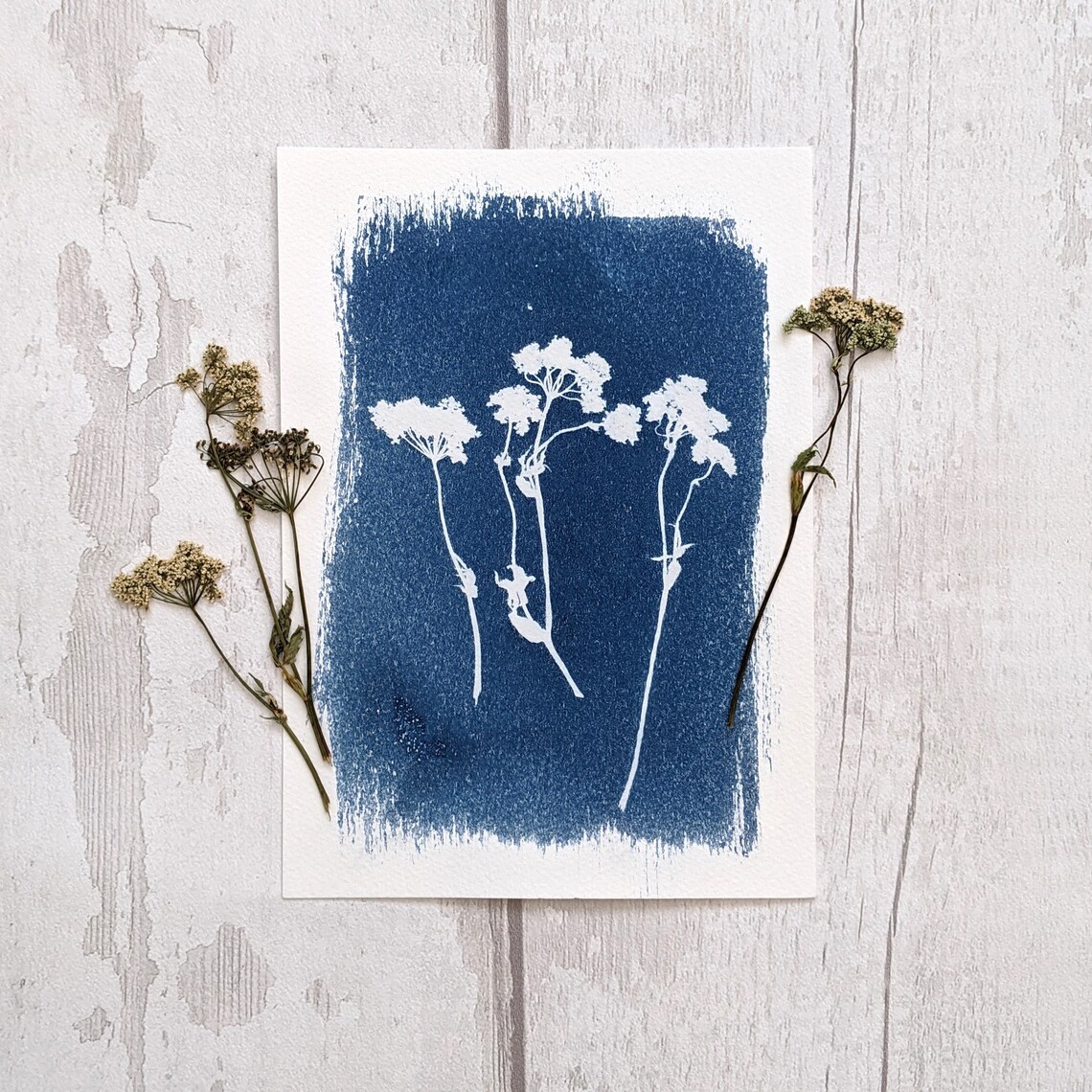 Wild Flower Cyanotype Print Original Art Work Sun Print | Etsy
