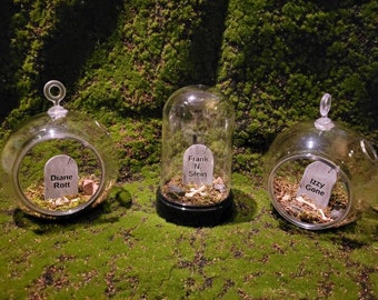 Terrarium Cemetery - Etsy