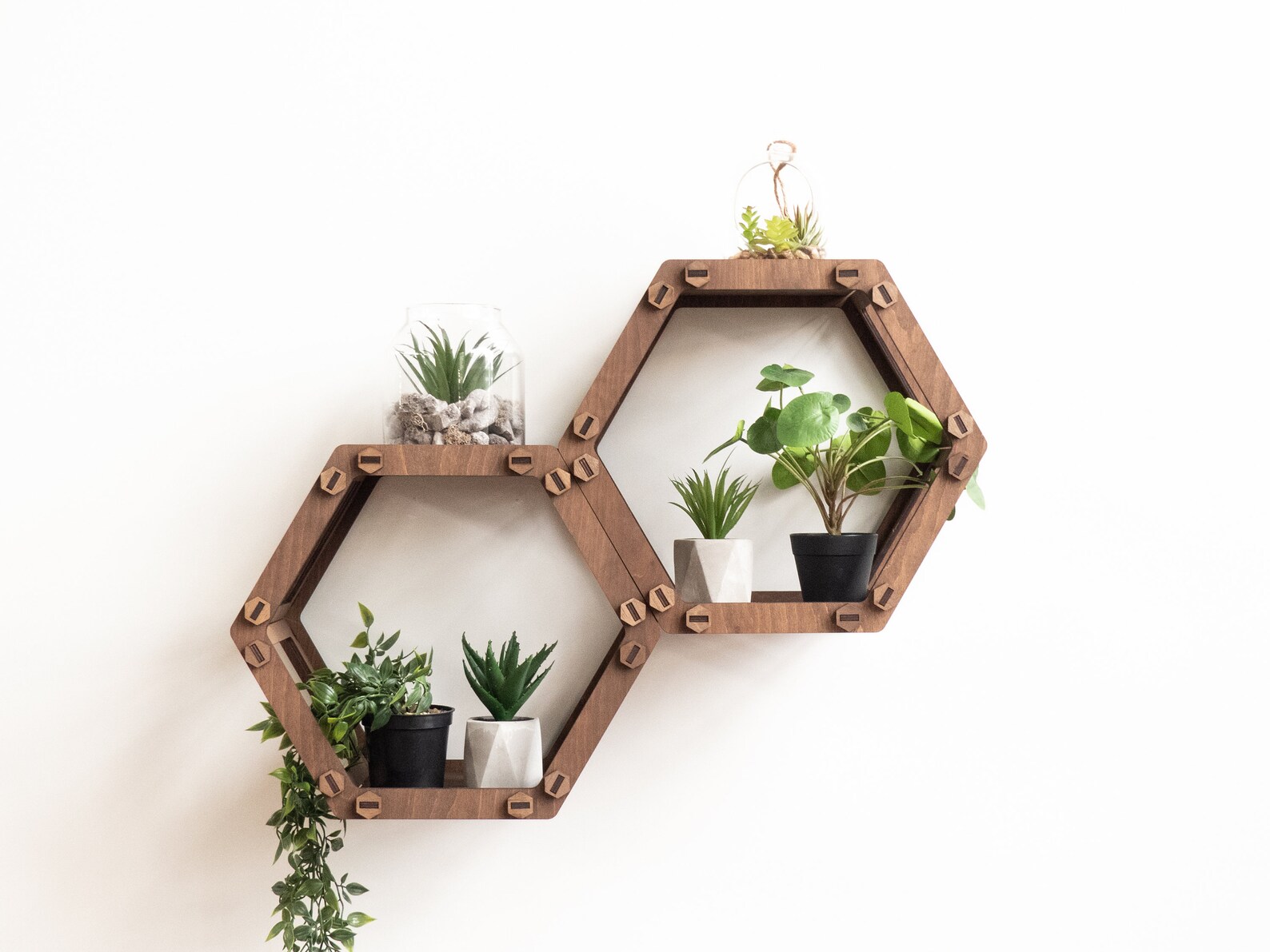 Hexagon Shelves Honeycomb Plant Shelf Wall Shelf 5pcs SET - Etsy