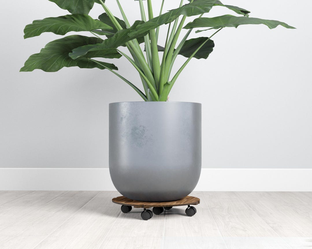 Heavy-duty Rolling Stand, Wooden Plant Caddy, Indoor Pots and Planters ...