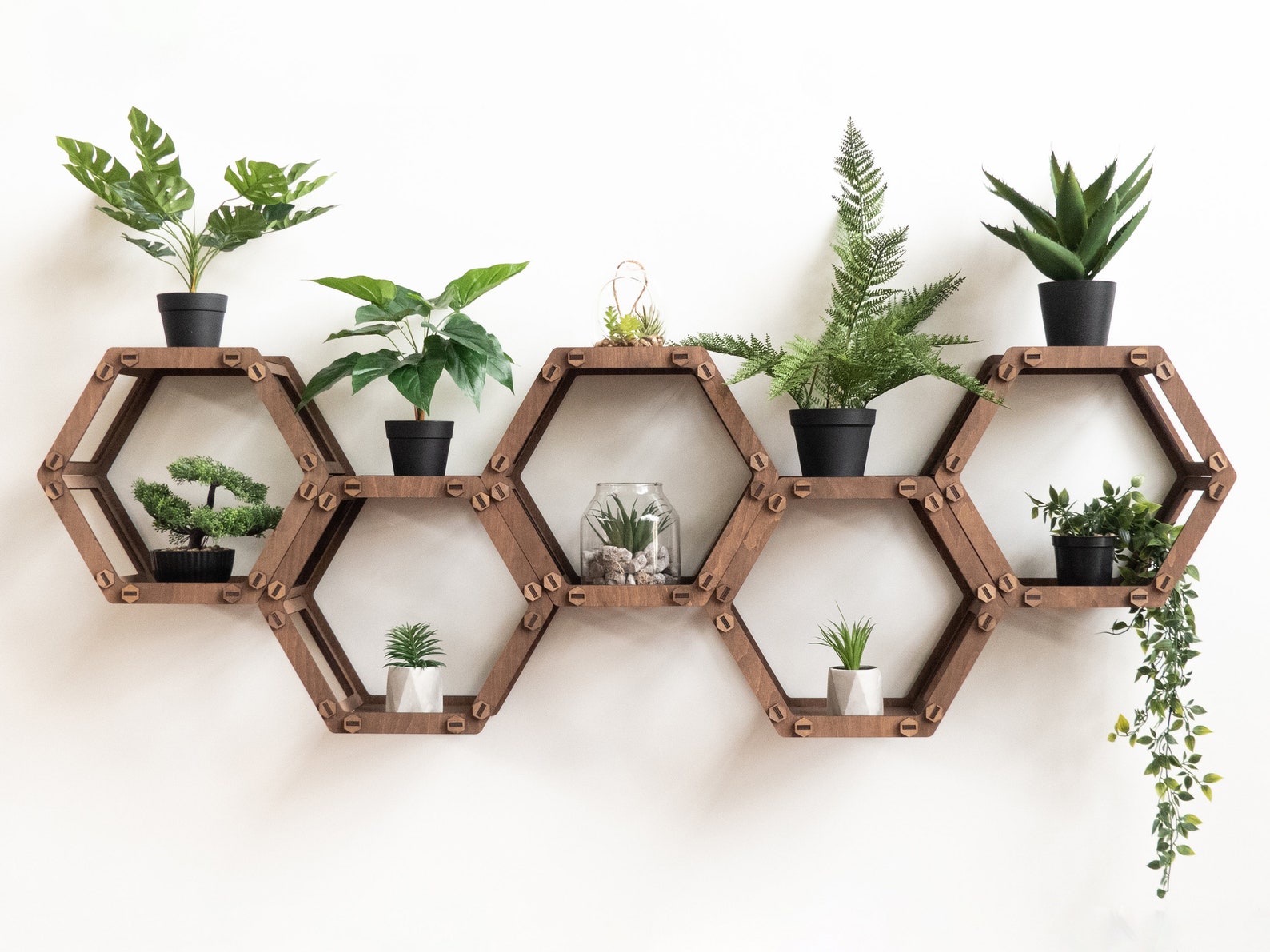 Hexagon Shelves Honeycomb Plant Shelf Wall Shelf 5pcs SET - Etsy