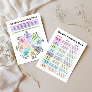 Adhd Executive Functioning Skills Chart for Educators, Executive ...