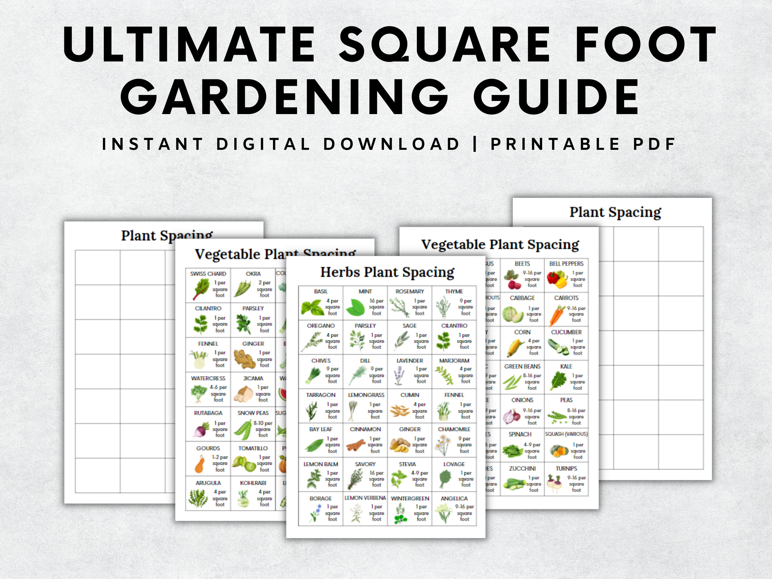 Interactive Square Foot Gardening Plans