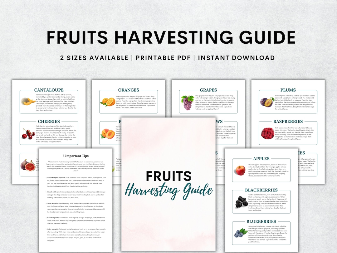 Fruits Harvesting Guide Printable, Fruits Harvesting Guide, Plant ...