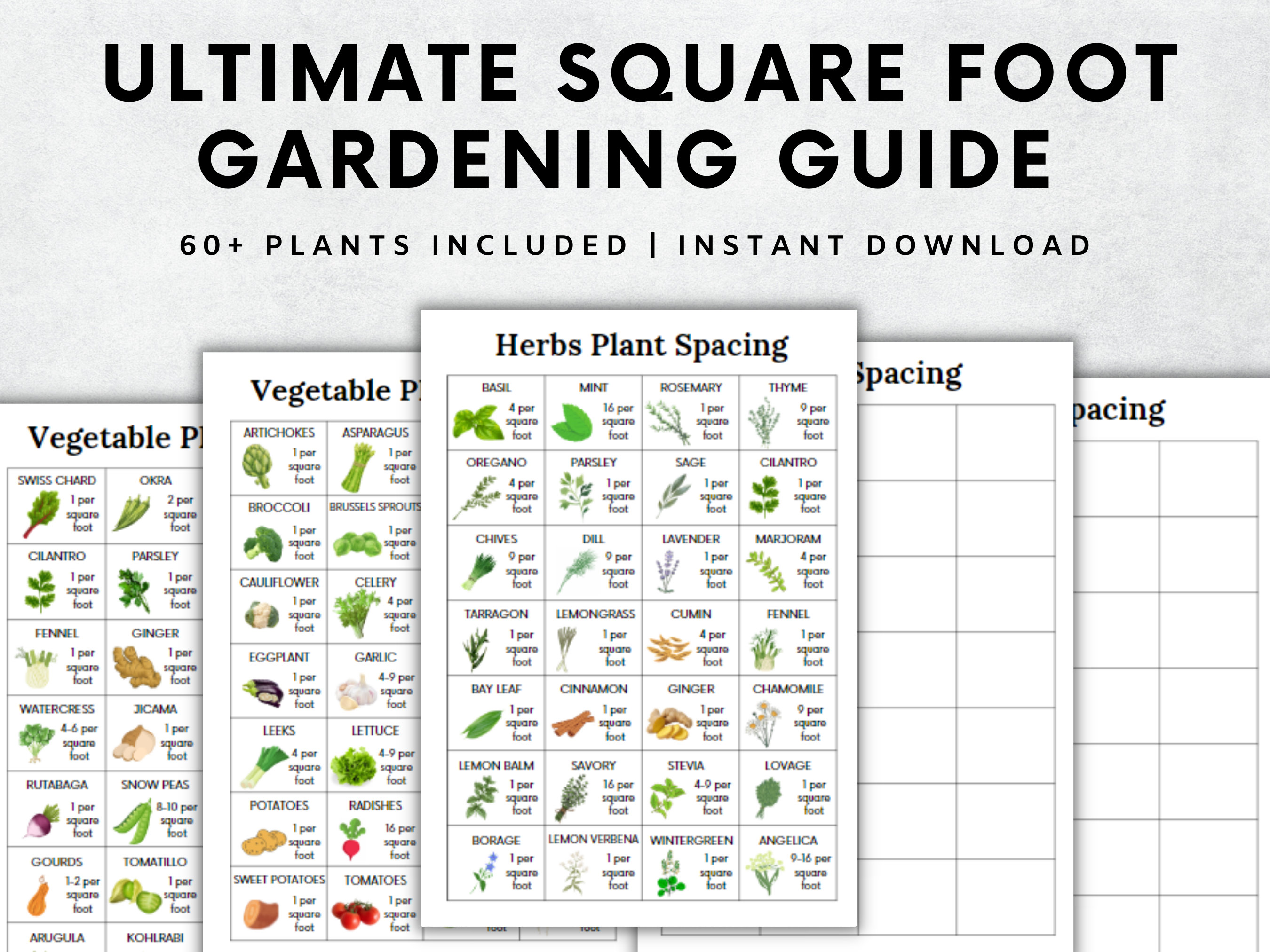 Infographic Square Foot Gardening Square Foot Garden Designs, Tips,