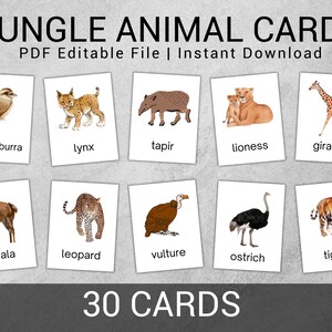 30 Jungle Animals Cards, Editable Montessori Flash Cards, Pre-school ...