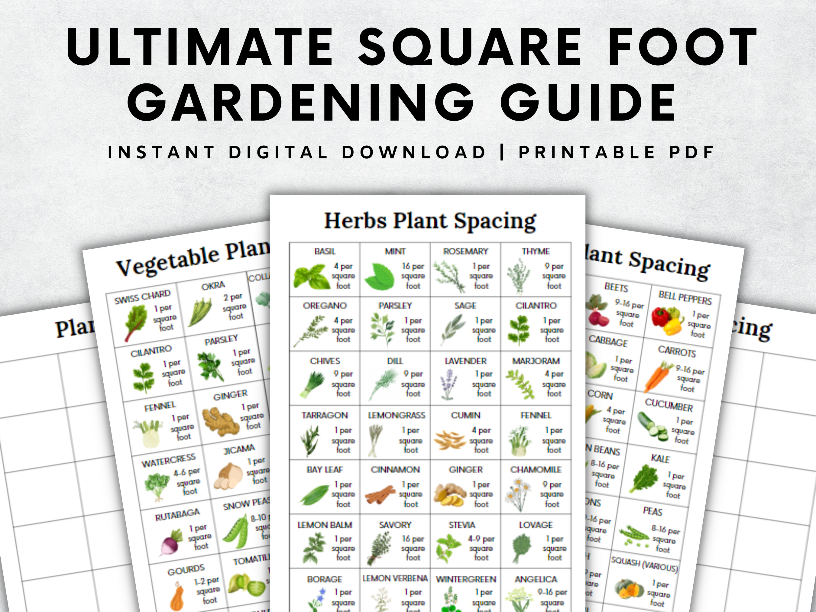 Printable Vegetable Garden Chart How To Start A Square Foot Garden
