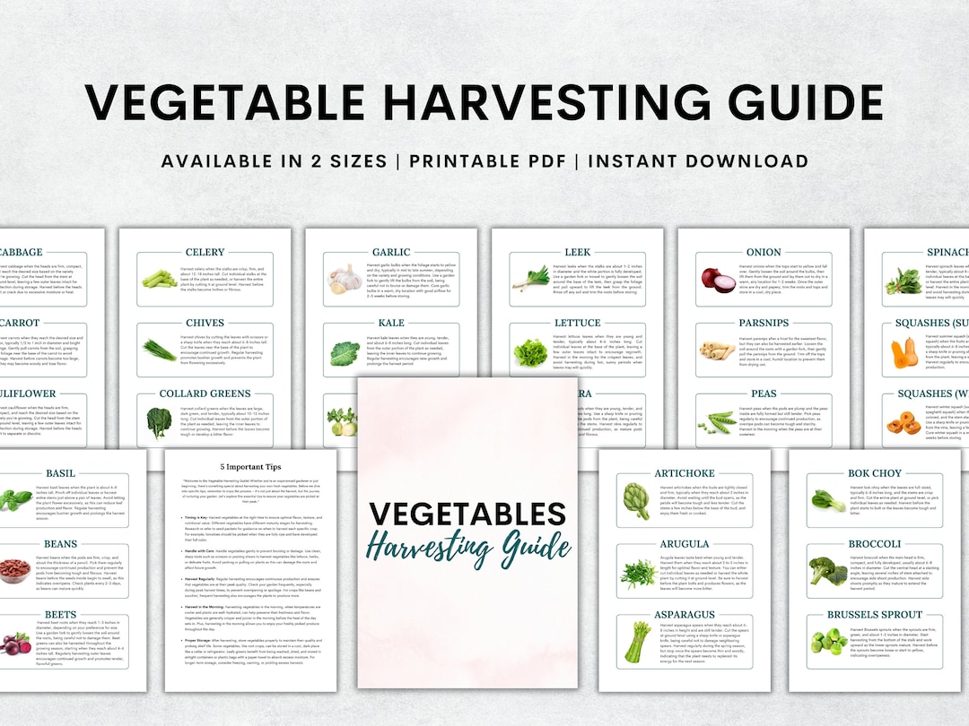 Vegetable Harvesting Guide Printable, 26 Vegetables Harvesting Guide ...