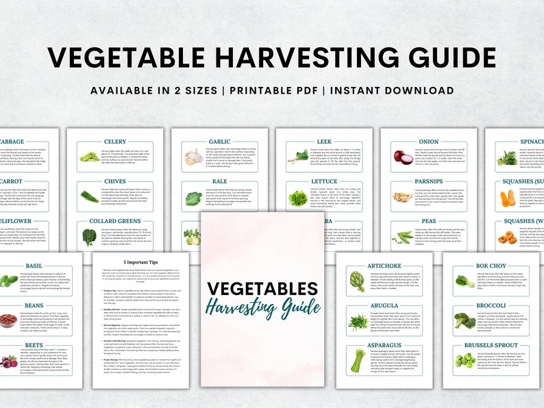 Vegetable Harvesting Guide Printable, 26 Vegetables Harvesting Guide ...