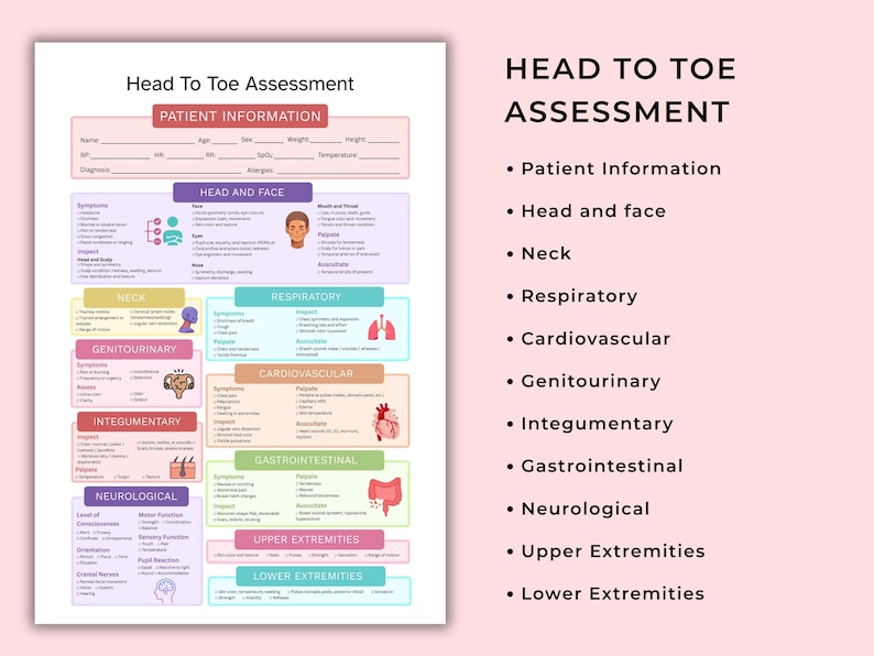 Head to Toe Assessment Template, Nursing Student Clinical Notes ...