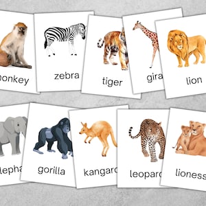 30 Jungle Animals Cards, Editable Montessori Flash Cards, Pre-school ...