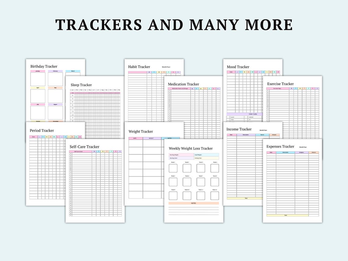 2025 Planner Printable | Ultimate All-in-one Planner PDF | Daily ...