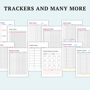 2025 Planner Printable | Ultimate All-in-one Planner PDF | Daily ...