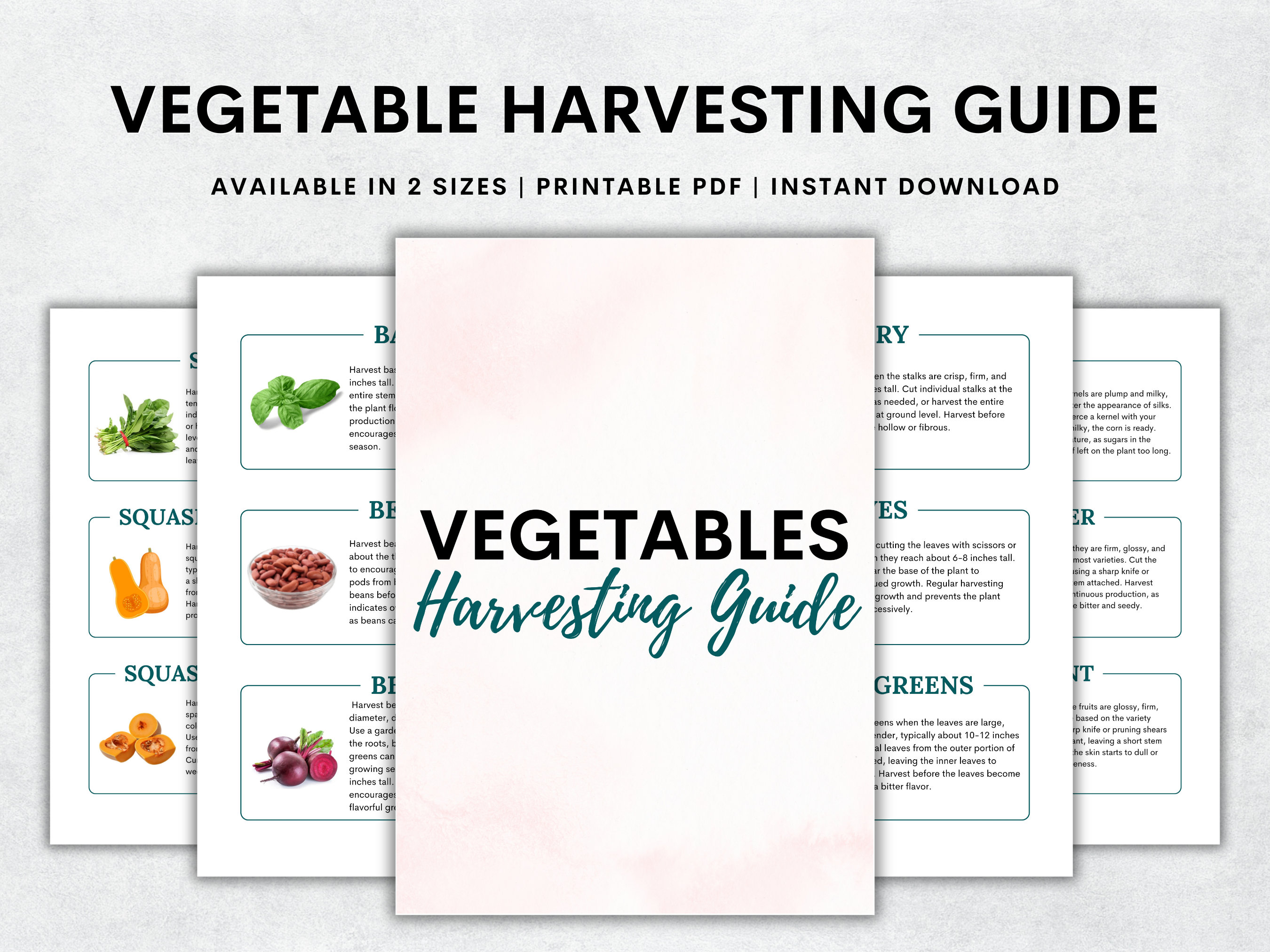 Vegetable Harvesting Guide Printable, 26 Vegetables Harvesting Guide ...