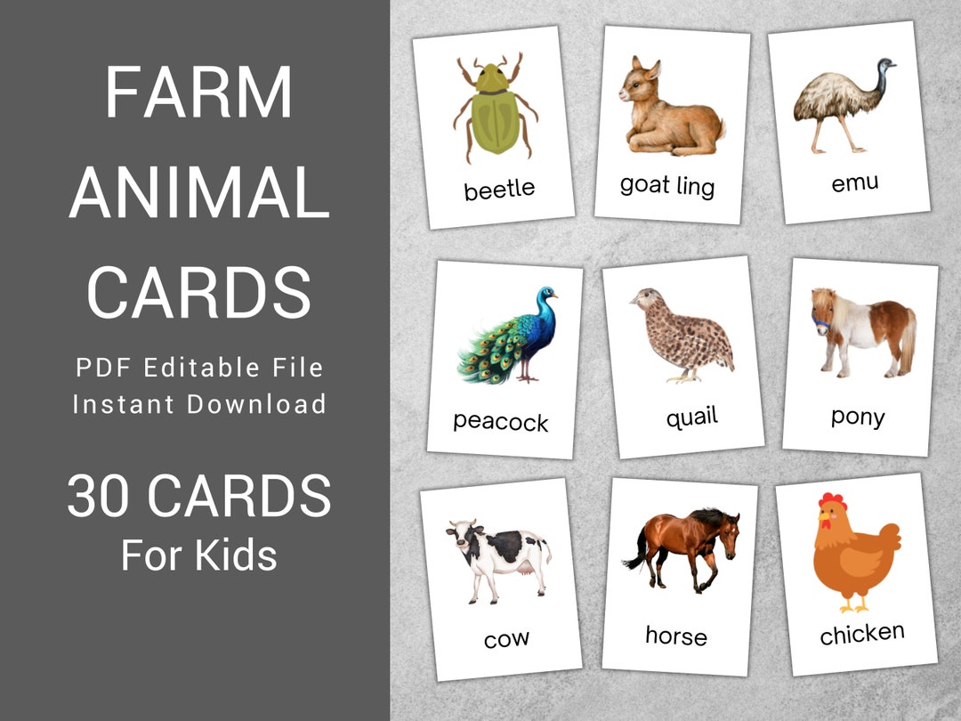 30 Farm Animals Cards, Editable Montessori Flash Cards, Pre-school ...