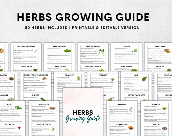 Complete Book of Herbs - Practical Guide to Growing & Using - Lesley ...