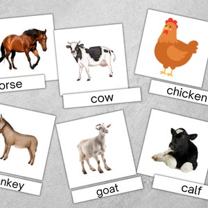 30 Farm Animals Cards, Editable Montessori Flash Cards, Pre-school ...