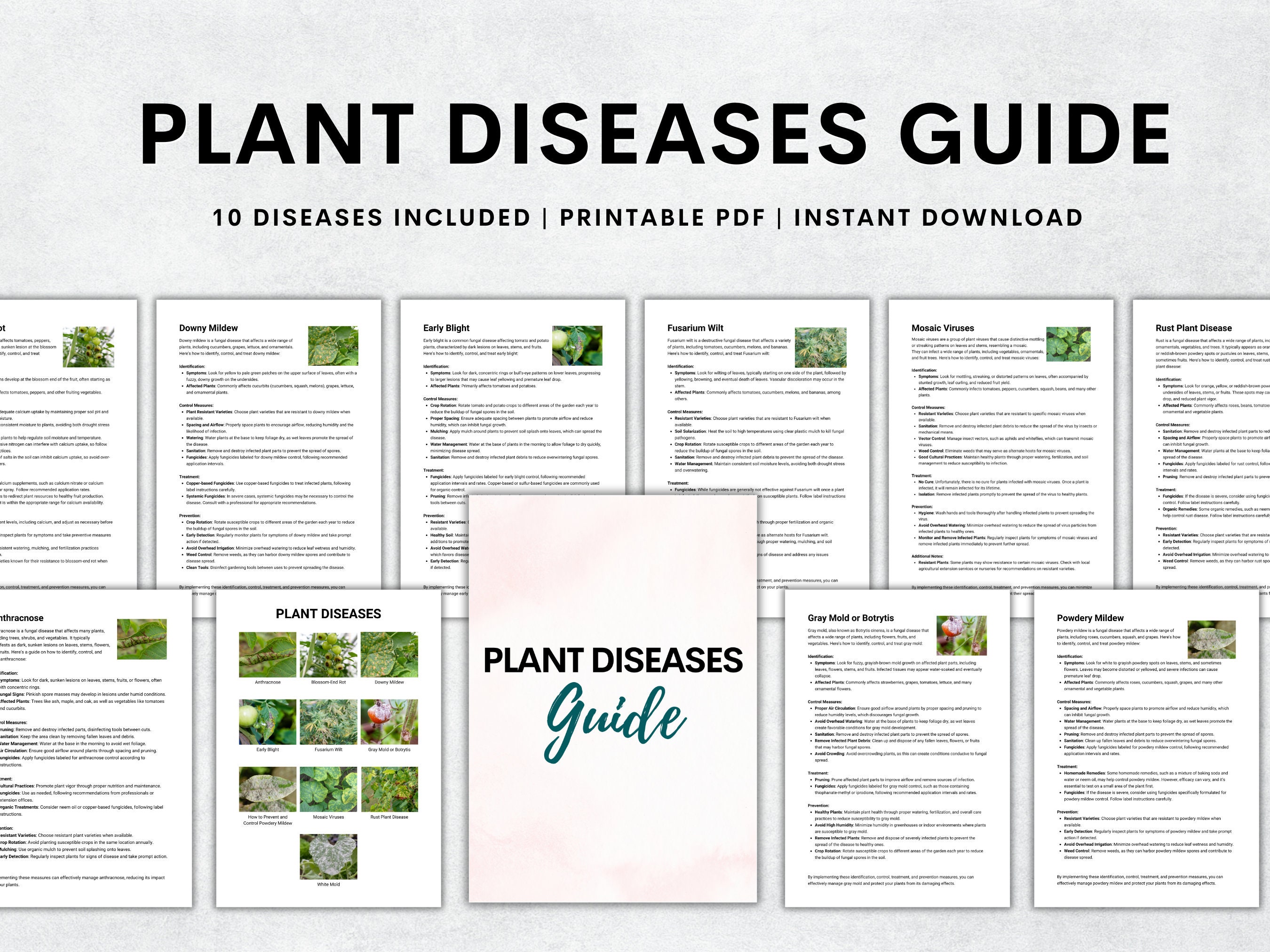 Plant Disease Guide Printable, Identification of Disease, Control ...