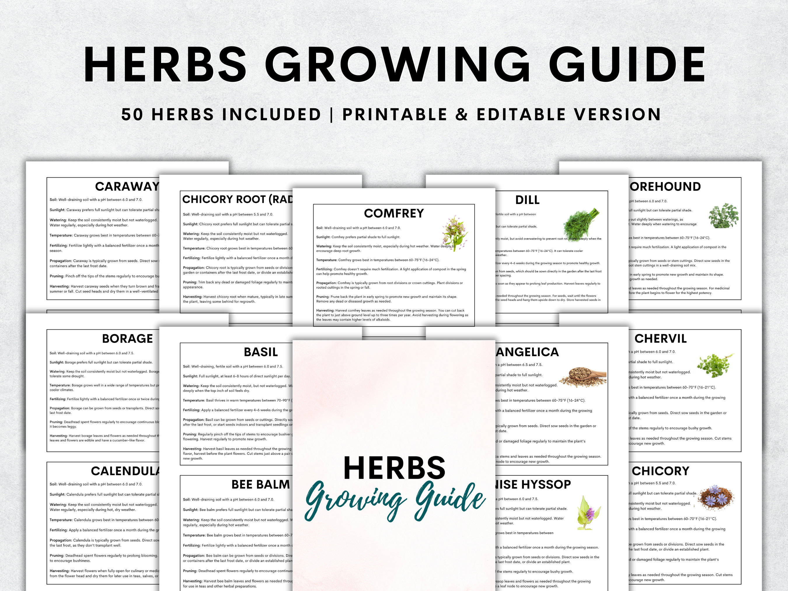 Herbs Growing Guide, 50 Printable Herbs Guide, Gardening Planner, Plant ...