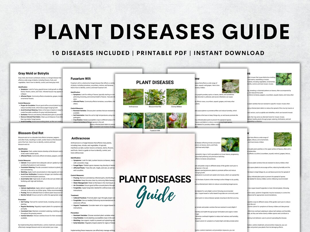 Plant Disease Guide Printable, Identification of Disease, Control ...
