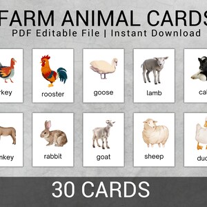 30 Farm Animals Cards, Editable Montessori Flash Cards, Pre-school ...