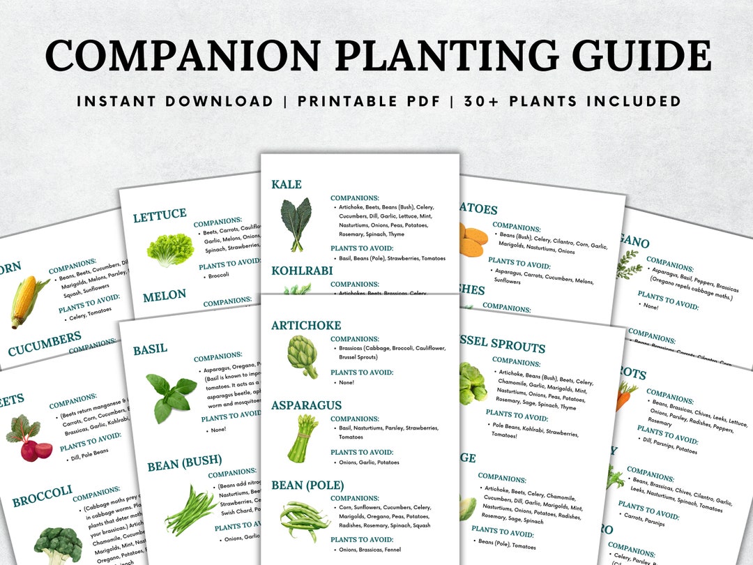 Companion Planting Guide, Garden Planning Chart, Garden Planner, Plant ...