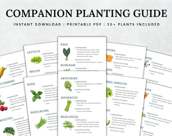 Companion Planting Chart | Home + Garden Planner | Instant Download - Etsy