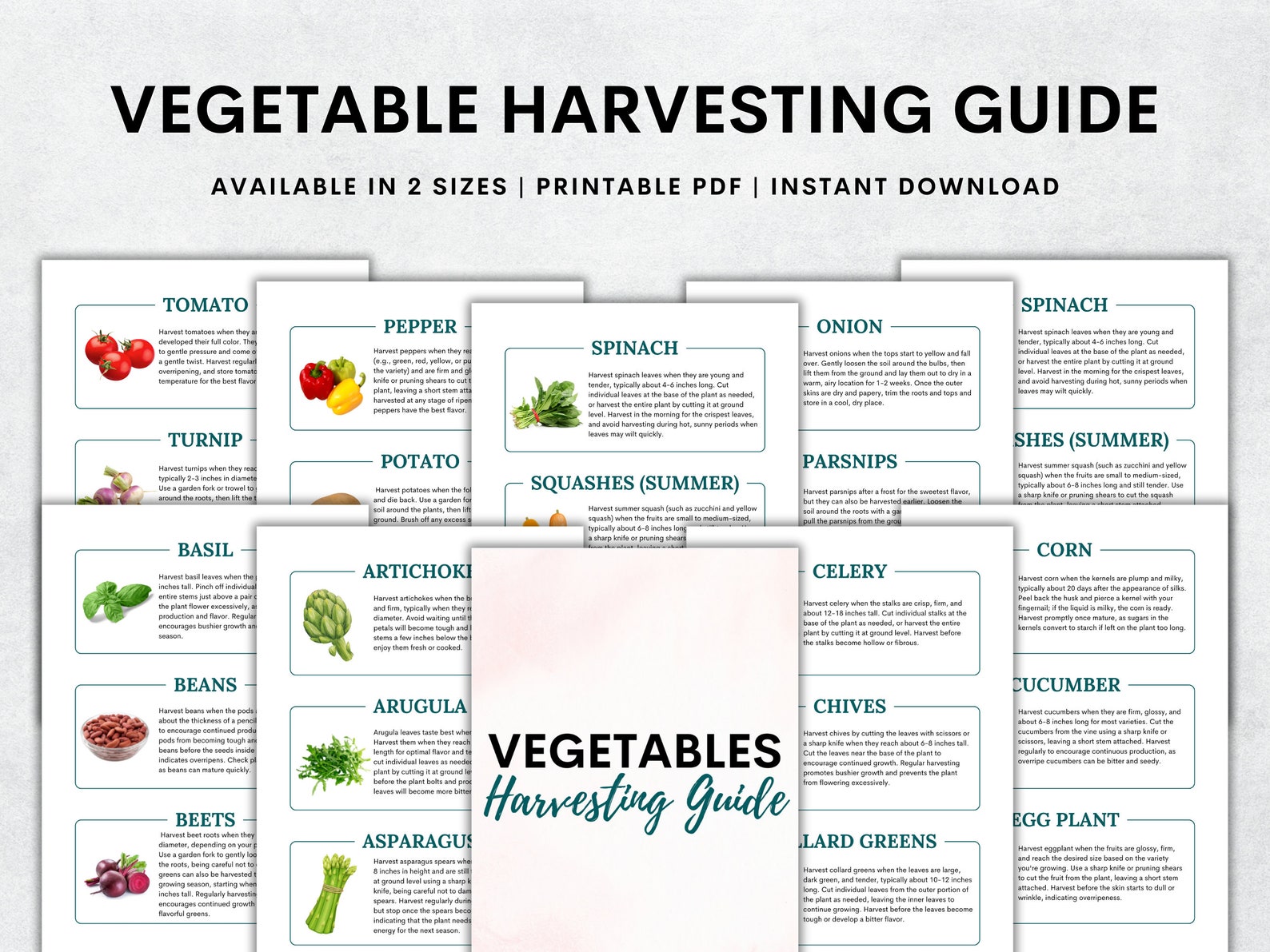 Vegetable Harvesting Guide Printable, 26 Vegetables Harvesting Guide ...