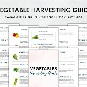 Vegetable Harvesting Guide Printable, 26 Vegetables Harvesting Guide ...