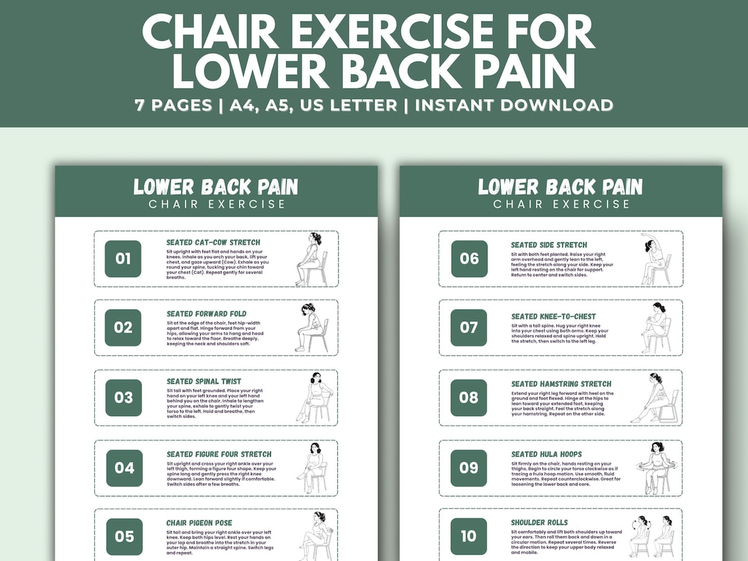 Chair Exercises for Lower Back Pain Relief: Seated Stretches (printable ...