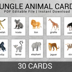 30 Jungle Animals Cards, Editable Montessori Flash Cards, Pre-school ...