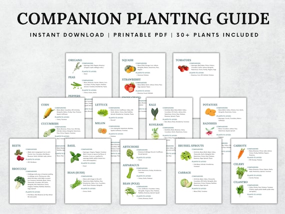 Planning Planting Chart 570x806