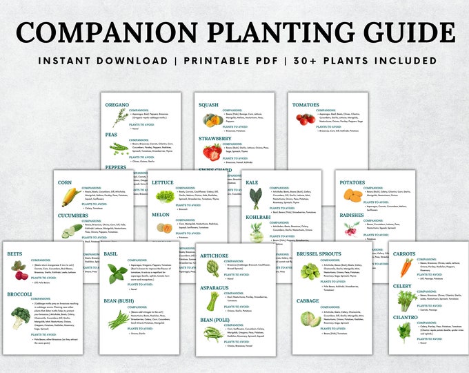 Gardening Cheat Sheets, Garden Guides, Vegetables Printable, Vegetable ...