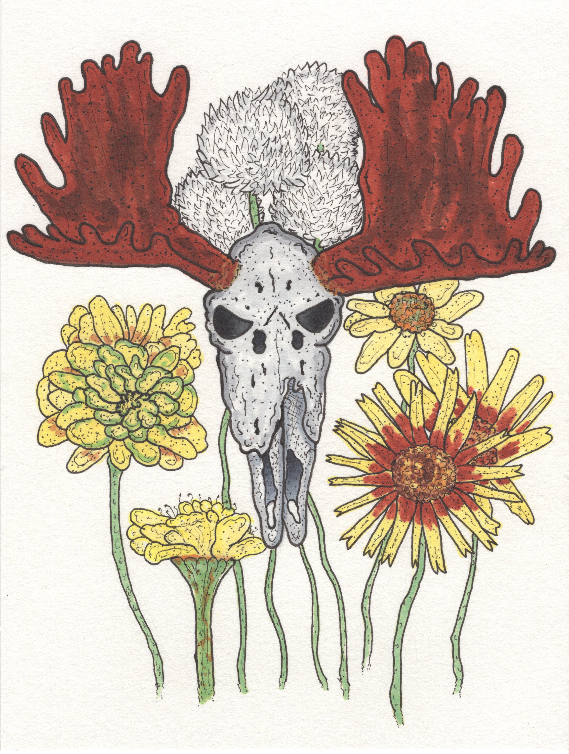 Moose & Wild Flowers - Etsy