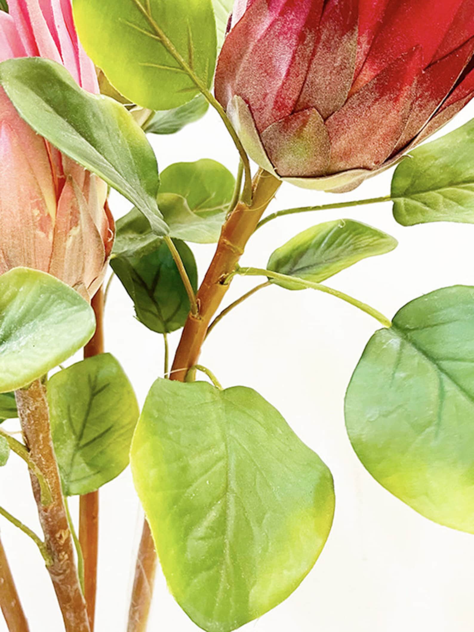 Artificial Protea Stem With Leaf, Quality Big Flower Head, Home ...