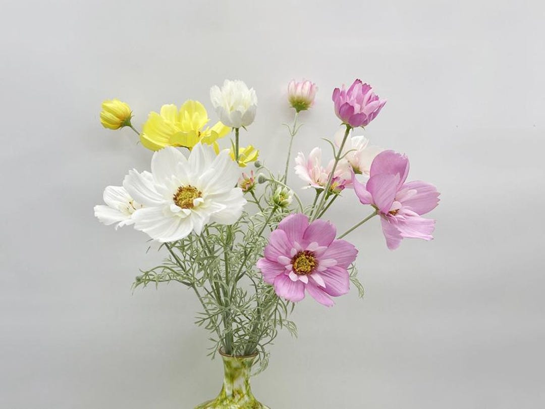 Artificial Cosmos Flower Stem, Realistic Floral Decor, Bloom for ...